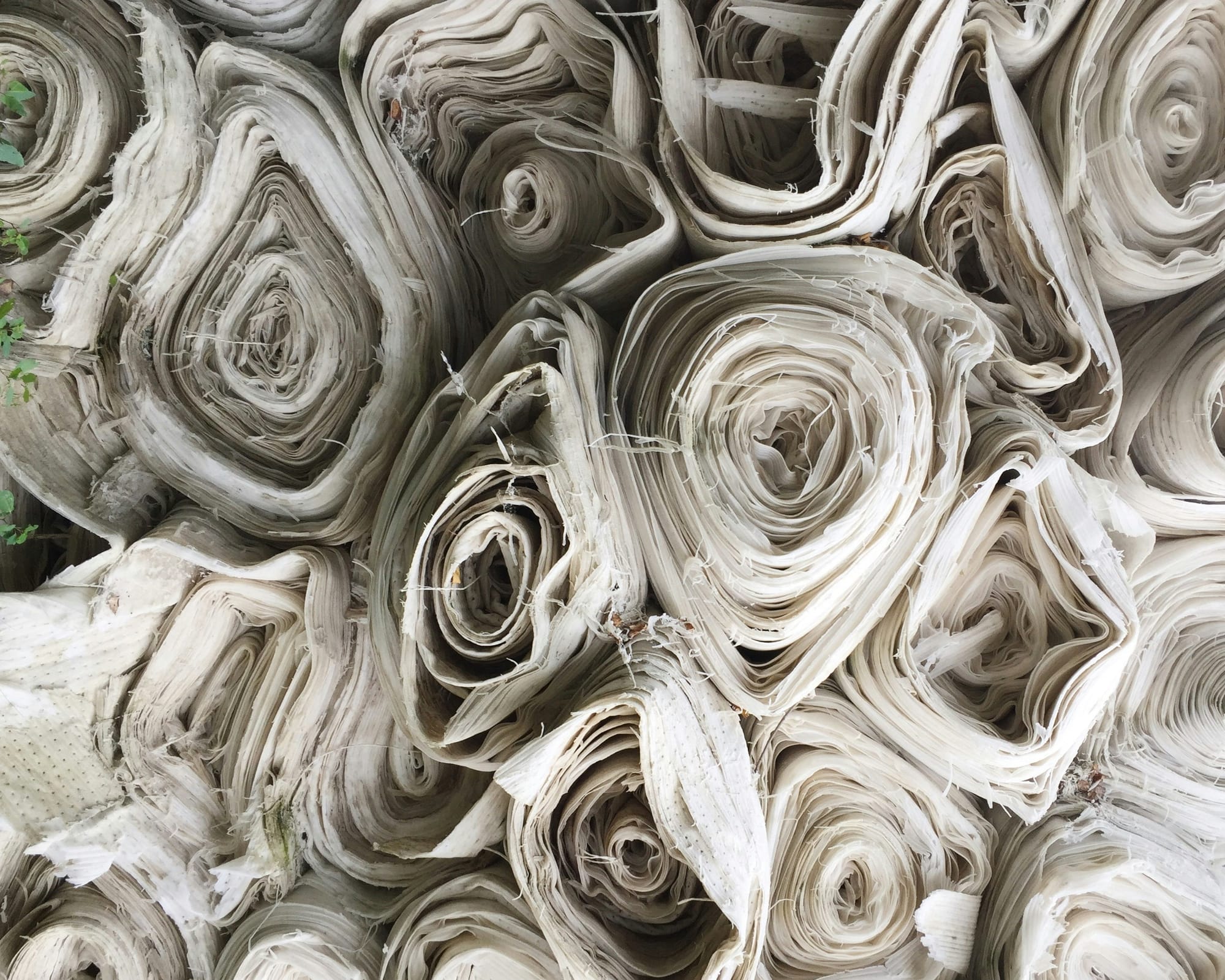EU lawmakers push for food and textile waste reduction targets