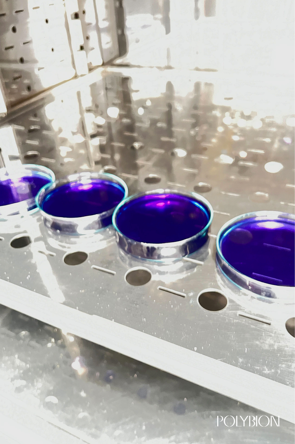 Polybion’s Living Aesthetic: How Biology is Redefining Material Design